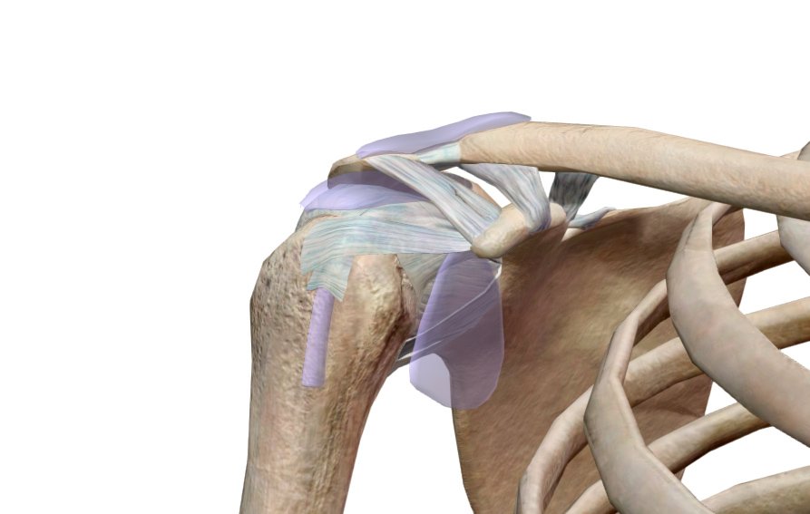 Bursitis ¿qué es? y tipos - dePiesyManos Academy