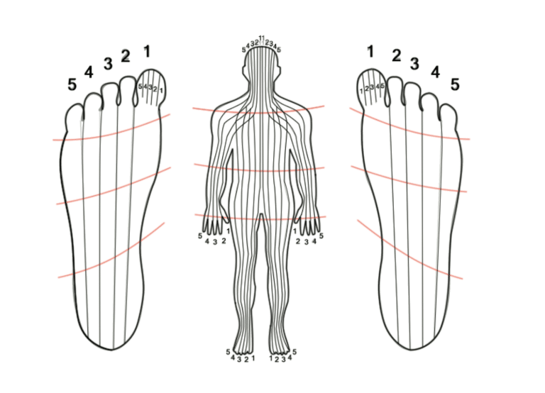 Reflexología Podal y EMOCIONES ¿Cómo se reflejan en tus pies?
